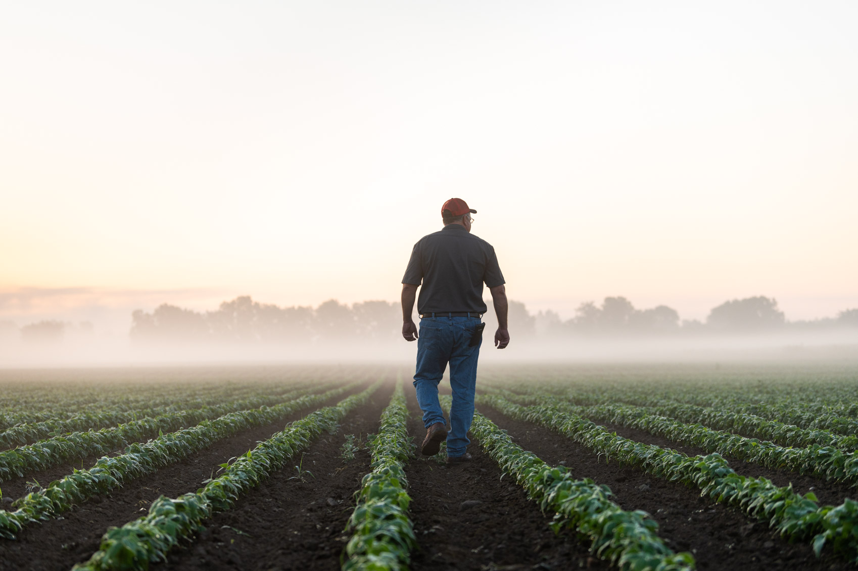 DAVID NEVALA PHOTOGRAPHY - DIRECTOR | PHOTOGRAPHER - MADISON, WISCONSIN ...